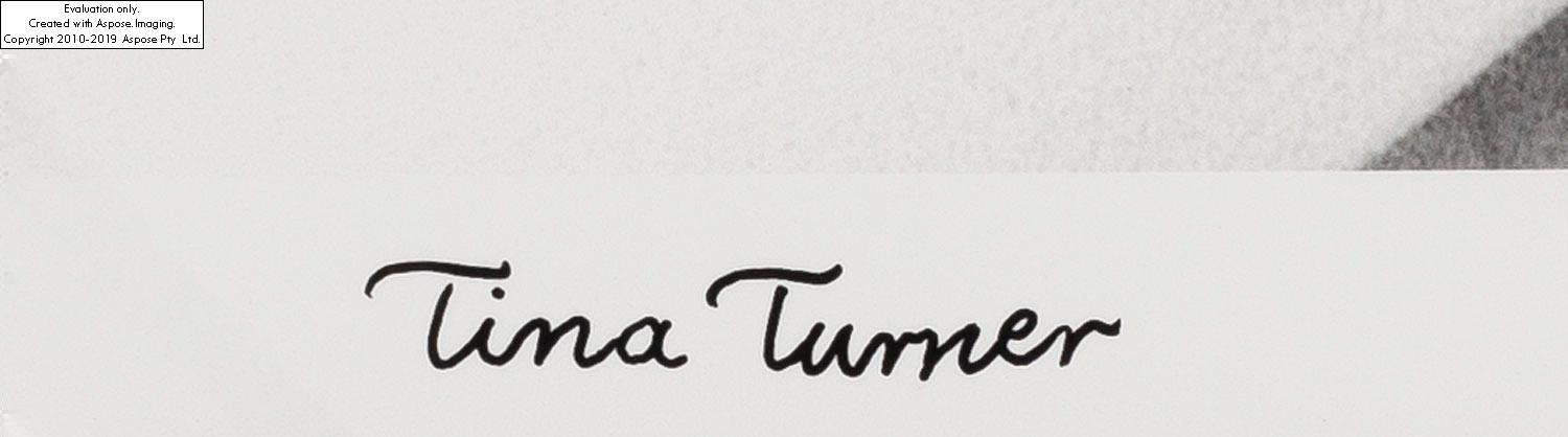 Harry Langdon | Tina Turner (1977) | MutualArt