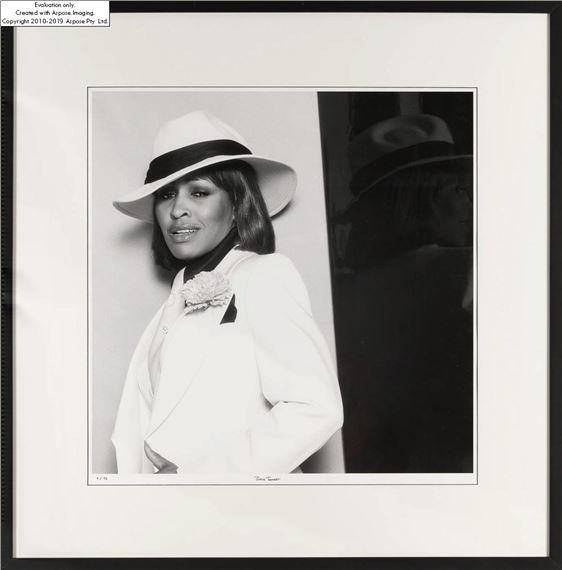 Harry Langdon | Tina Turner (1977) | MutualArt