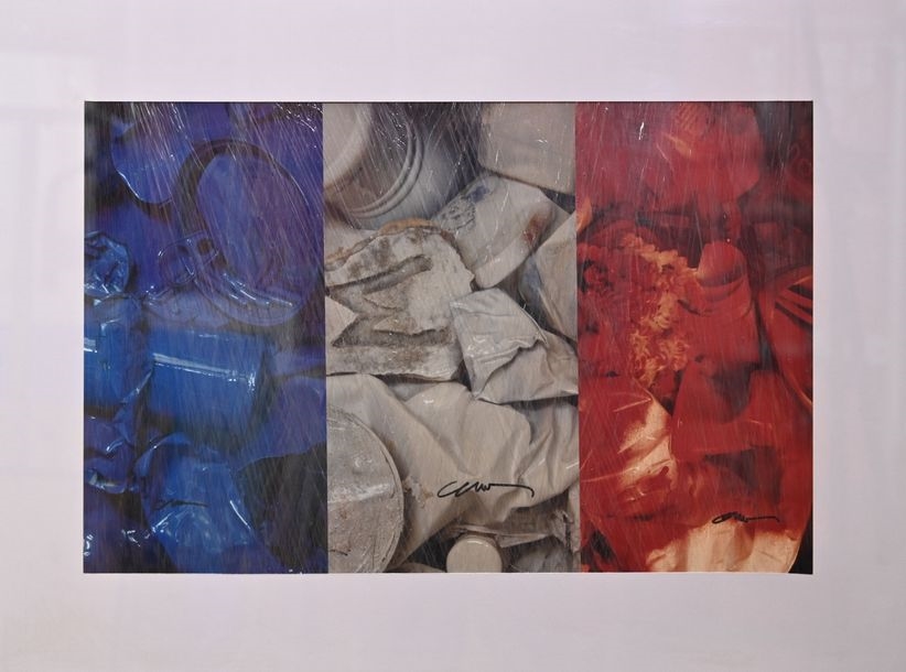 Olivier Mattei | French flag (2015) | MutualArt