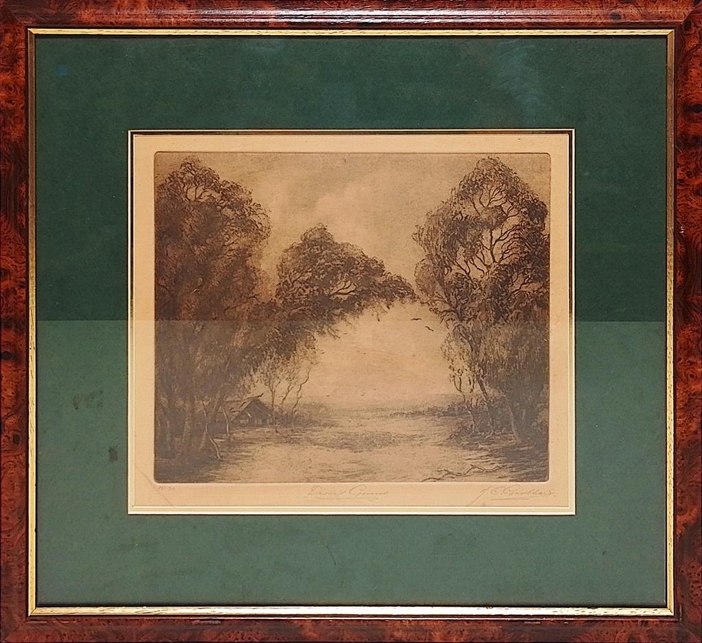 John Charles Goodchild | Desert Gums | MutualArt