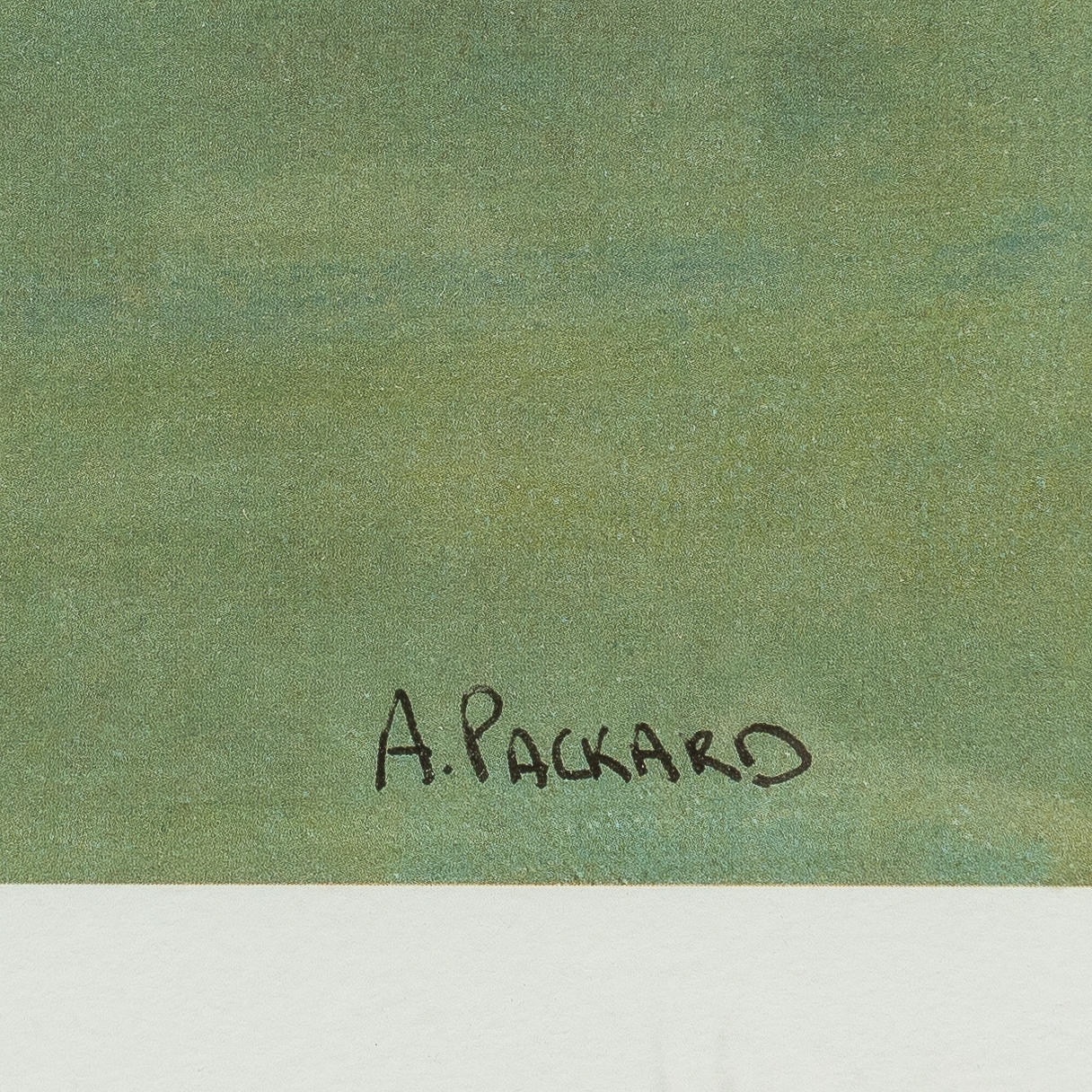 Anne Packard | New Dory | MutualArt