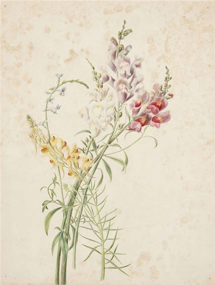 Hugh Francis Clarke Cleghorn | 1 Artworks at Auction | MutualArt