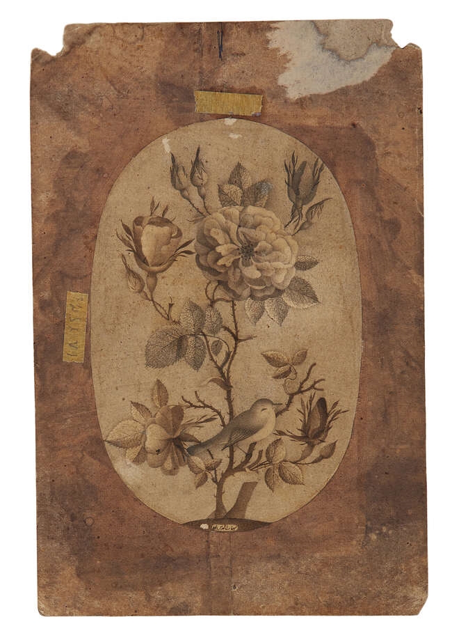 Persian School, 19th Century | A Qajar rose and nightingale drawing ...
