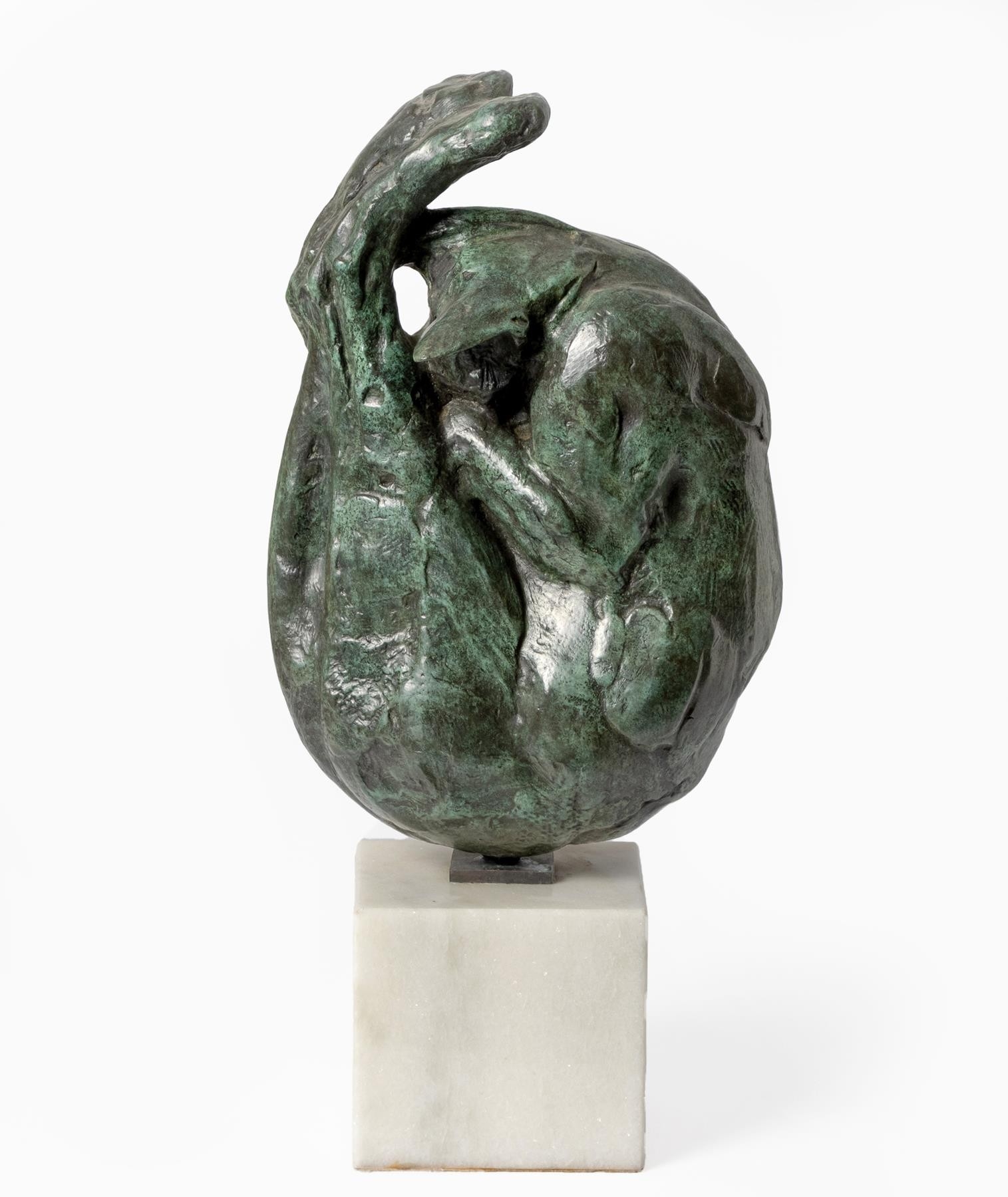 Dylan Lewis | ) CURLED CAT | MutualArt