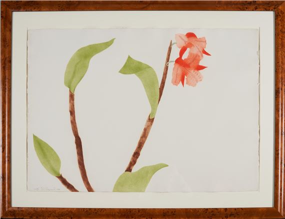 Ed Baynard | Vermillion Clair Orchid (1980) | MutualArt