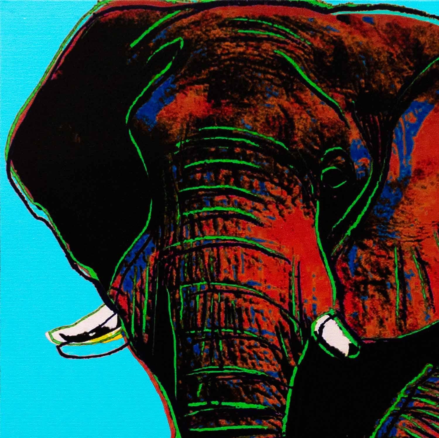 Andy Warhol | African Elephant 293 | MutualArt