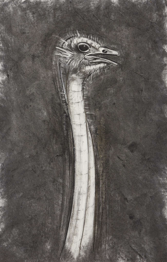 Carl Plackman | British 1943-2004 - Head of Ostrich | MutualArt