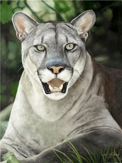 Ron Balaban | Mountain Lion | MutualArt