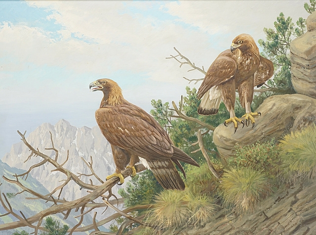 Friedrich Reimann | Zwei Adler im Hochgebirge | MutualArt