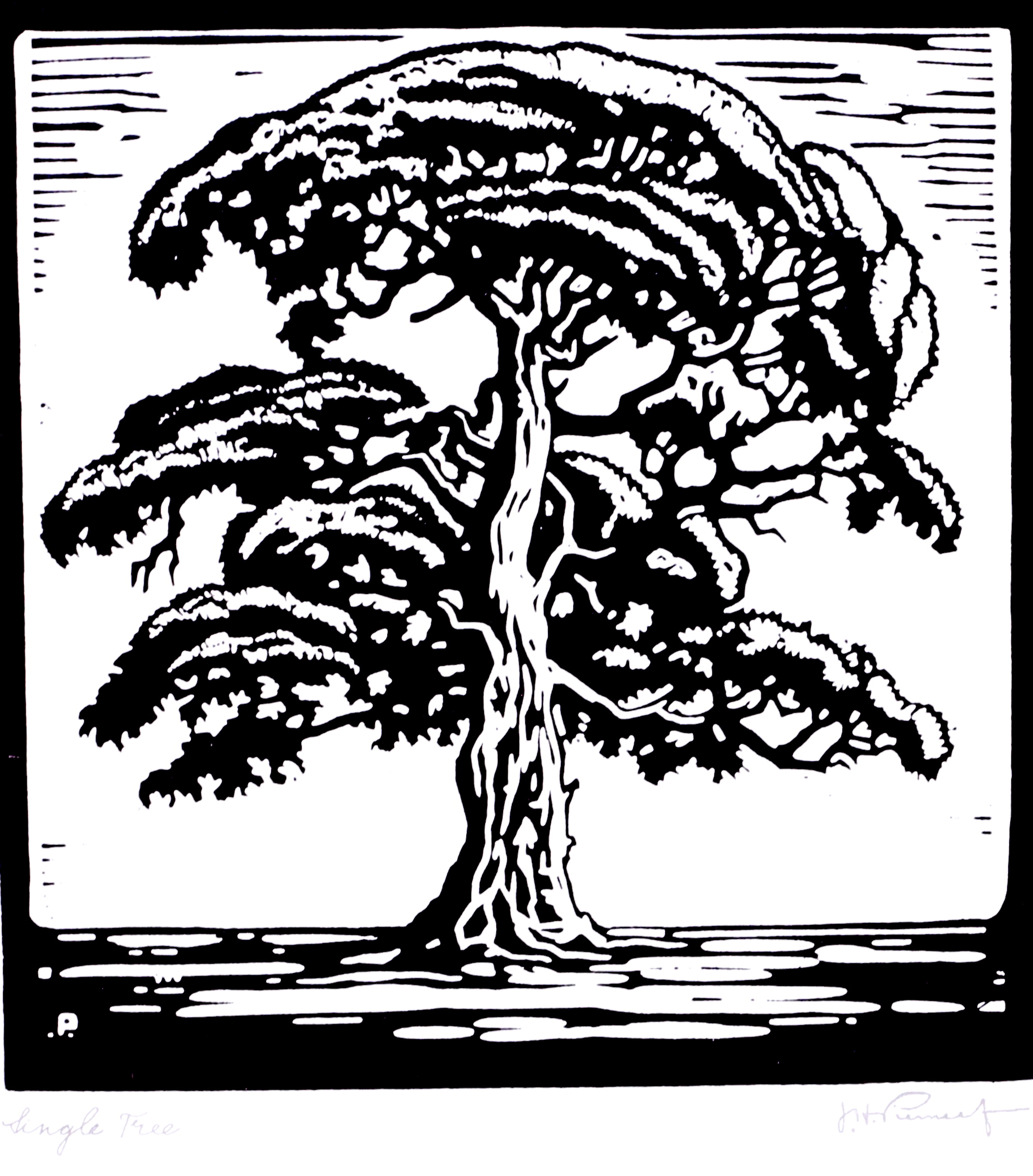 Jacob Hendrik Pierneef | ACACIA TREE IN THE LOWVELD (1949) | MutualArt