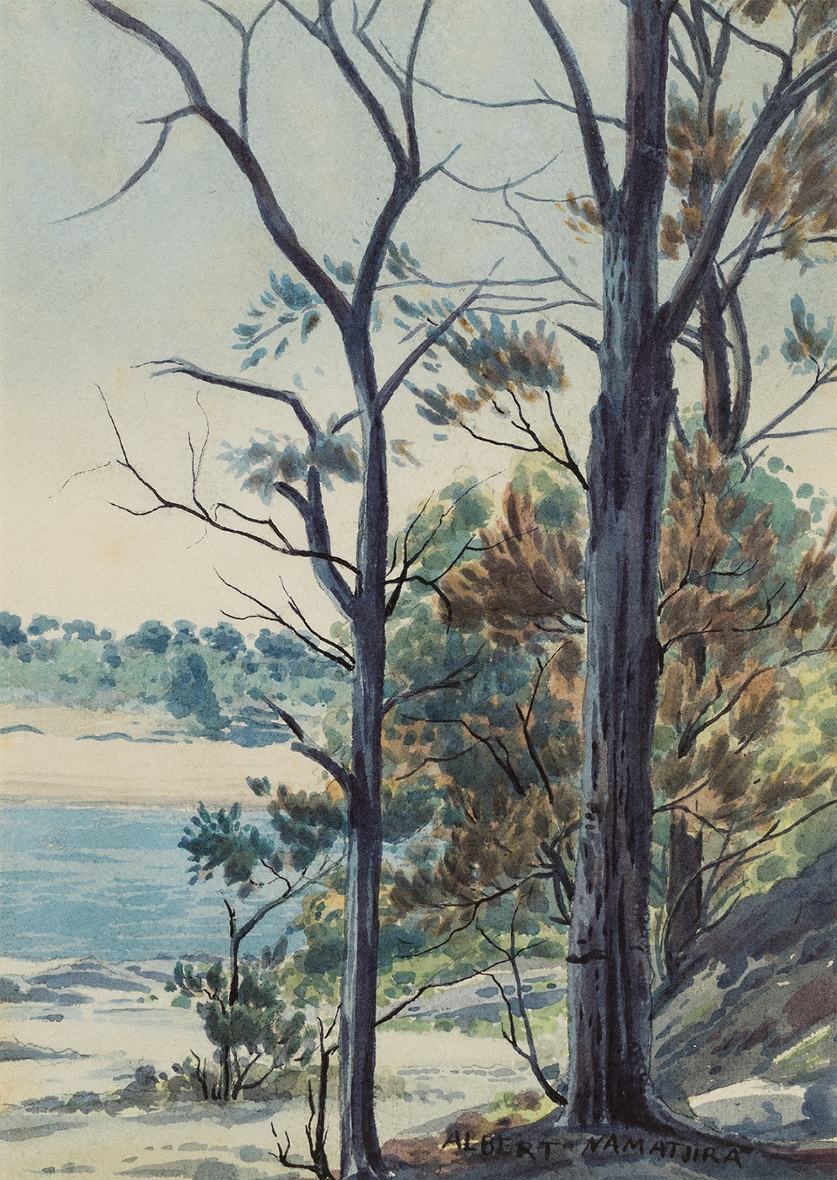 Albert Namatjira | Blackwood Trees at Rapid Creek, Darwin (1950 ...