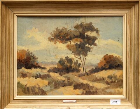 Arnout Colnot | Duinlandschap | MutualArt