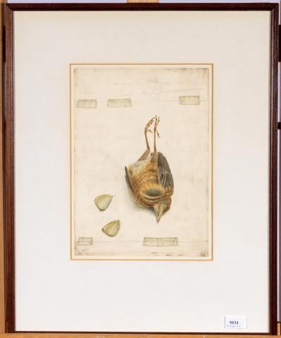 Anneke Van Brussel | Twee motten en een dode mus (1979) | MutualArt