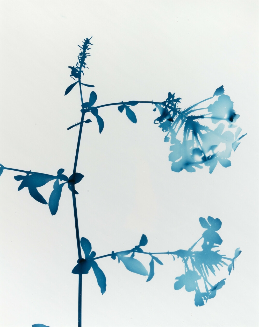 James Welling | Untitled (2005) | MutualArt