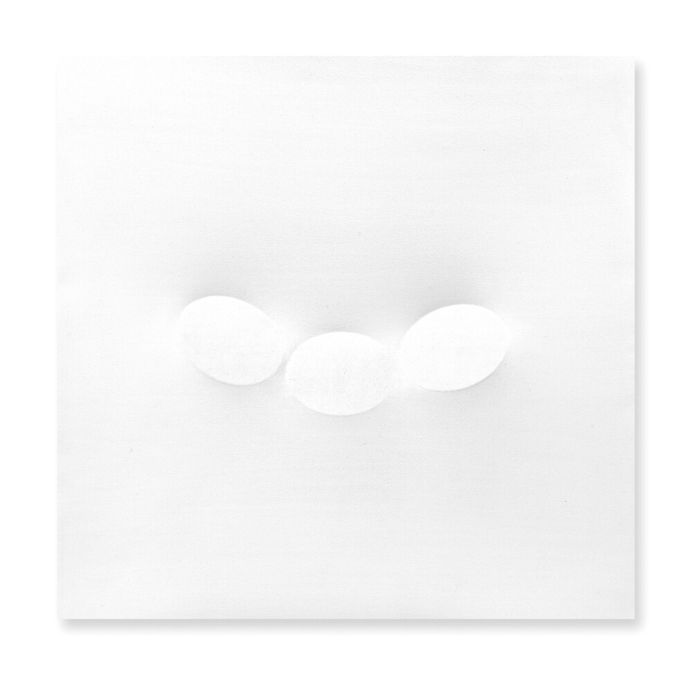 Turi Simeti | 3 ovali bianchi (2008) (2008) | MutualArt