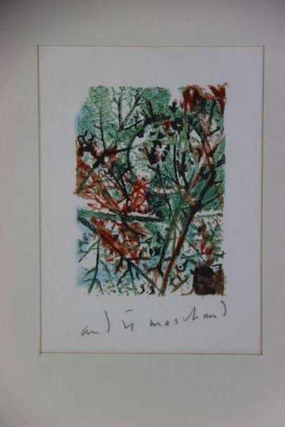 André Marchand | Polychrome lithograph signed in the lower right corner ...