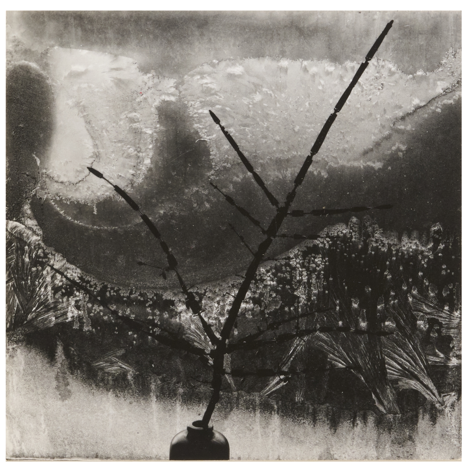 Minor White | `GRAND TETON NATIONAL PARK, WYOMING' | MutualArt