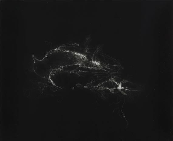 Gerhard Marx | Bird with Weeds | MutualArt