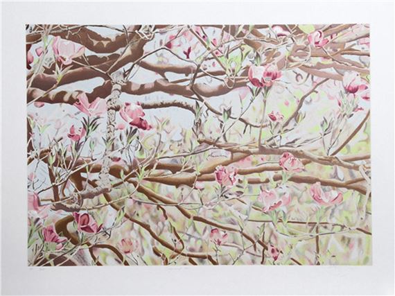 Jon D'Orazio | Dogwood II (1981) | MutualArt