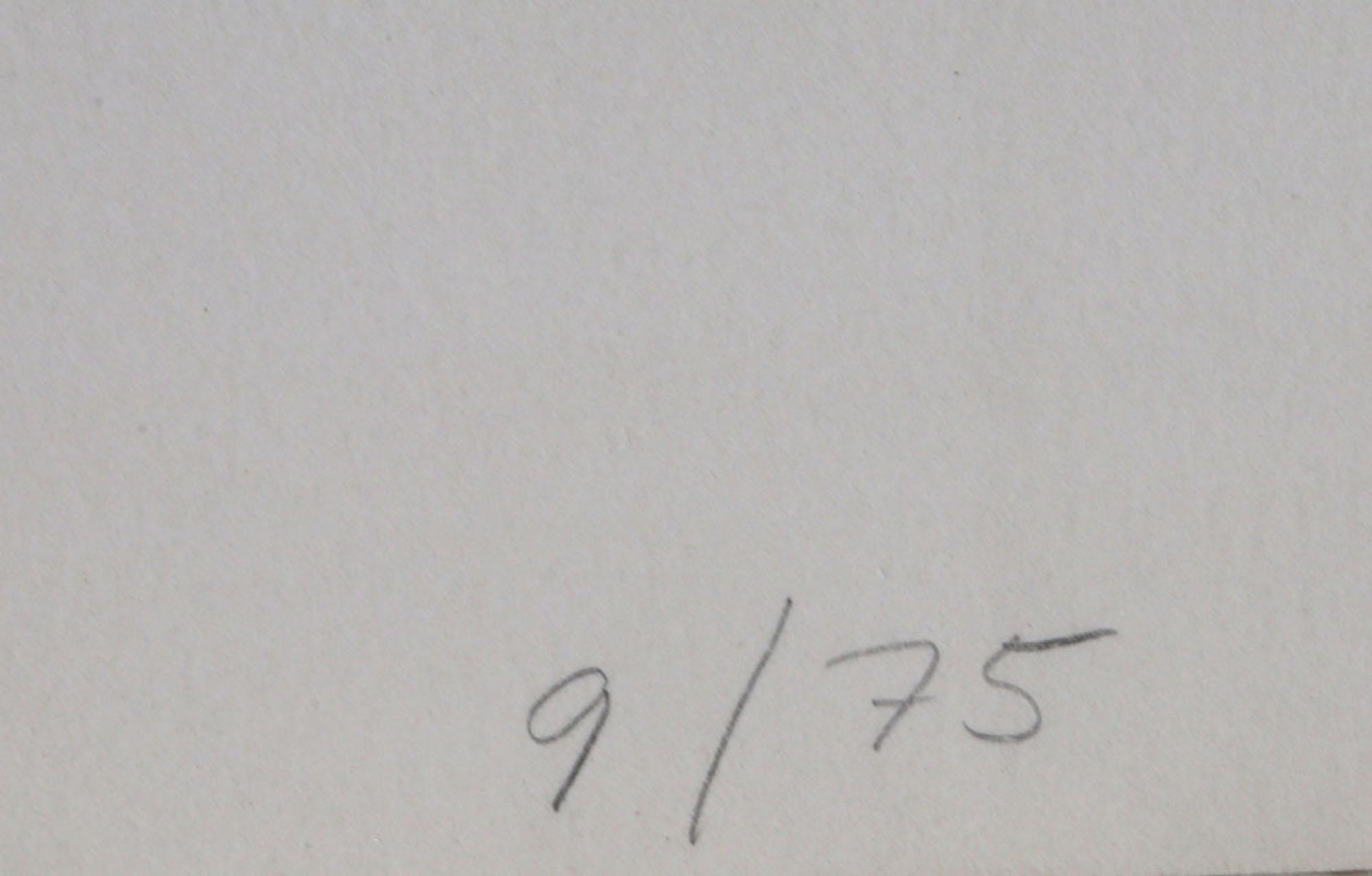 Ron Davis | Triangle Slice (1971) | MutualArt