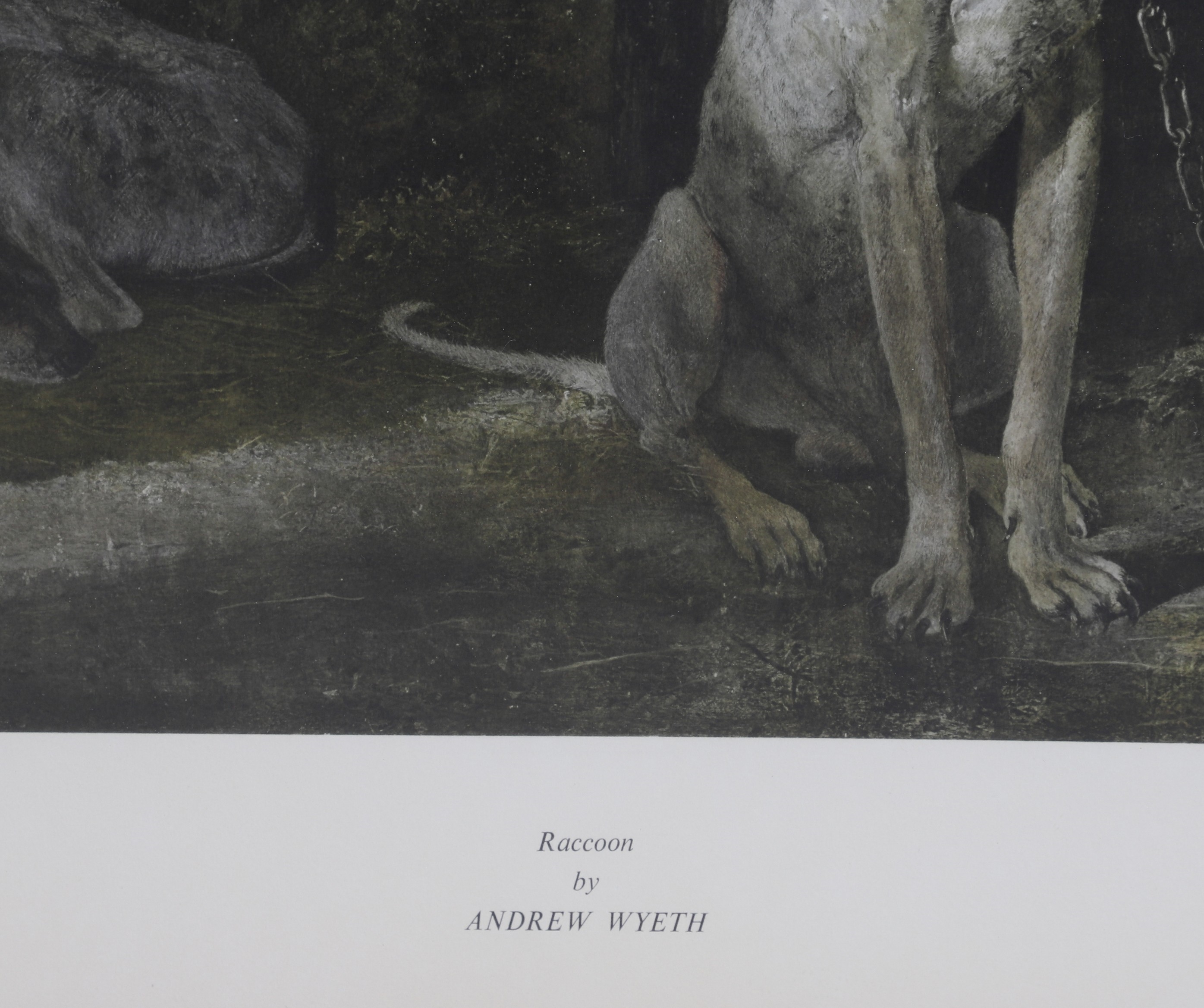 Andrew Wyeth | (6) Framed prints after Andrew Wyeth, Raccoon, Groundhog ...