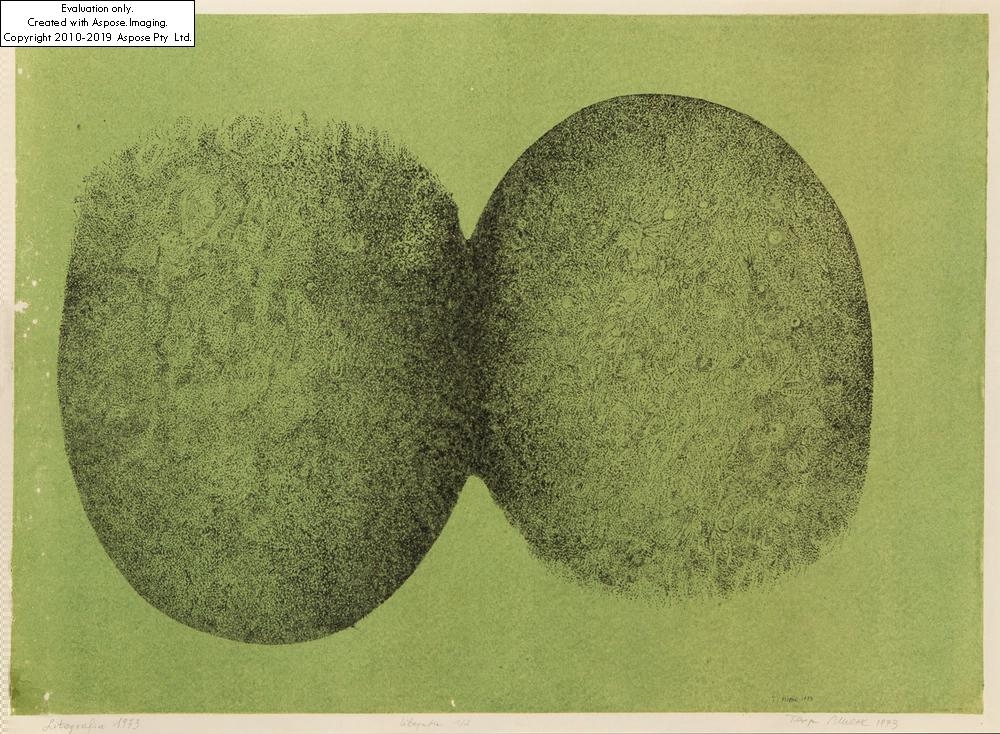 Teresa Murak | Lithography 1973 (1973) | MutualArt