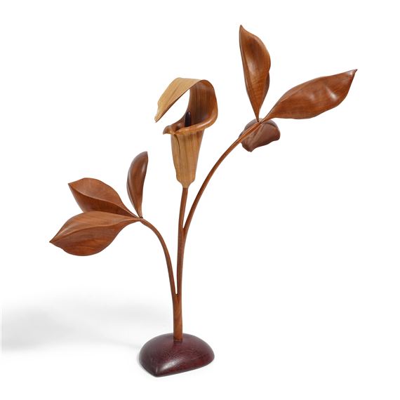 David Pollock | Biography