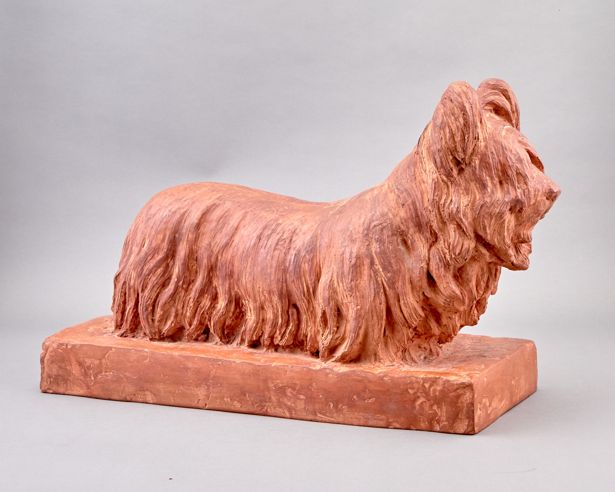 Richard Fath | Standing Skye Terrier (1051) | MutualArt