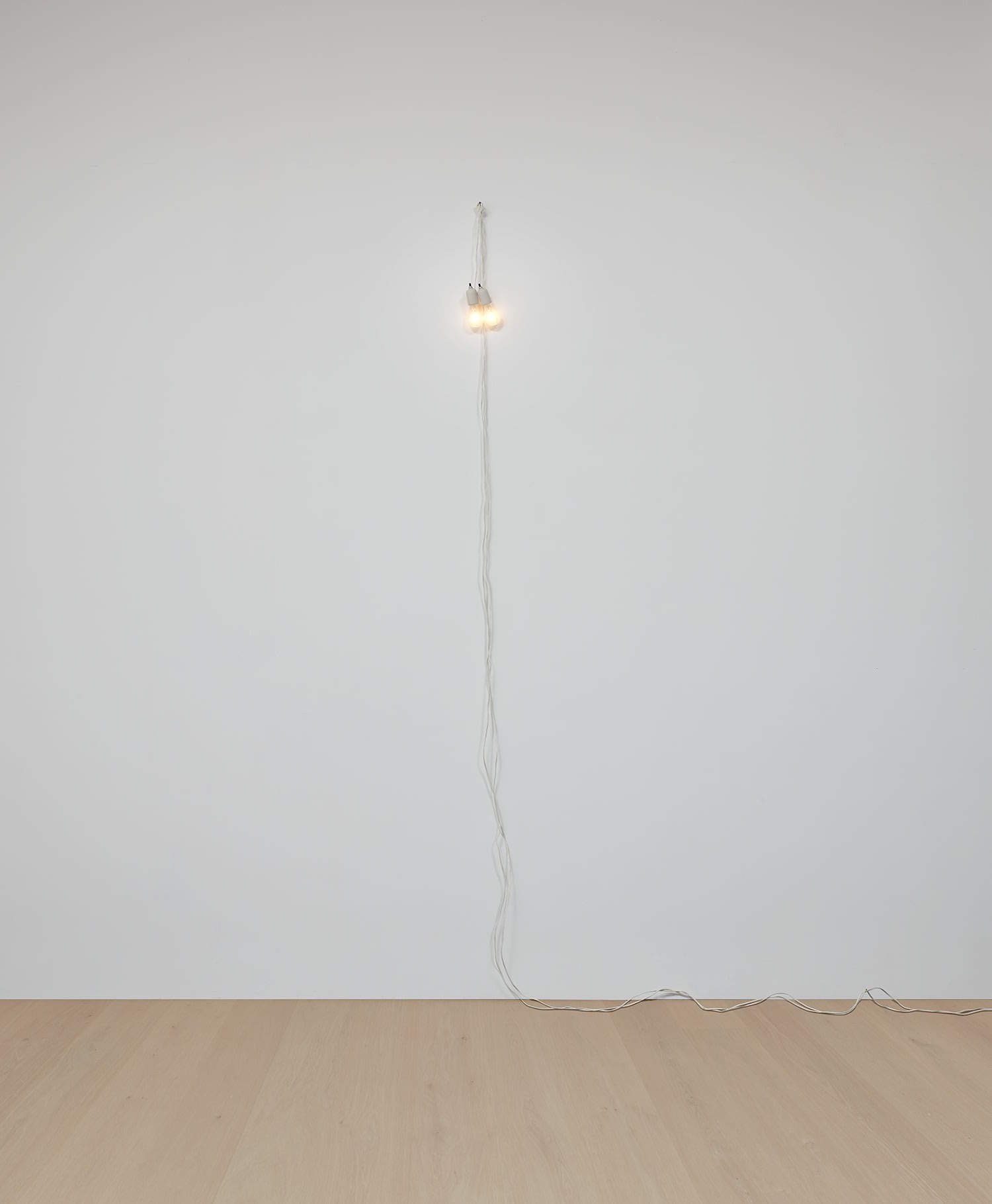 Felix González-Torres | “Untitled” (March 5th) #2 | MutualArt