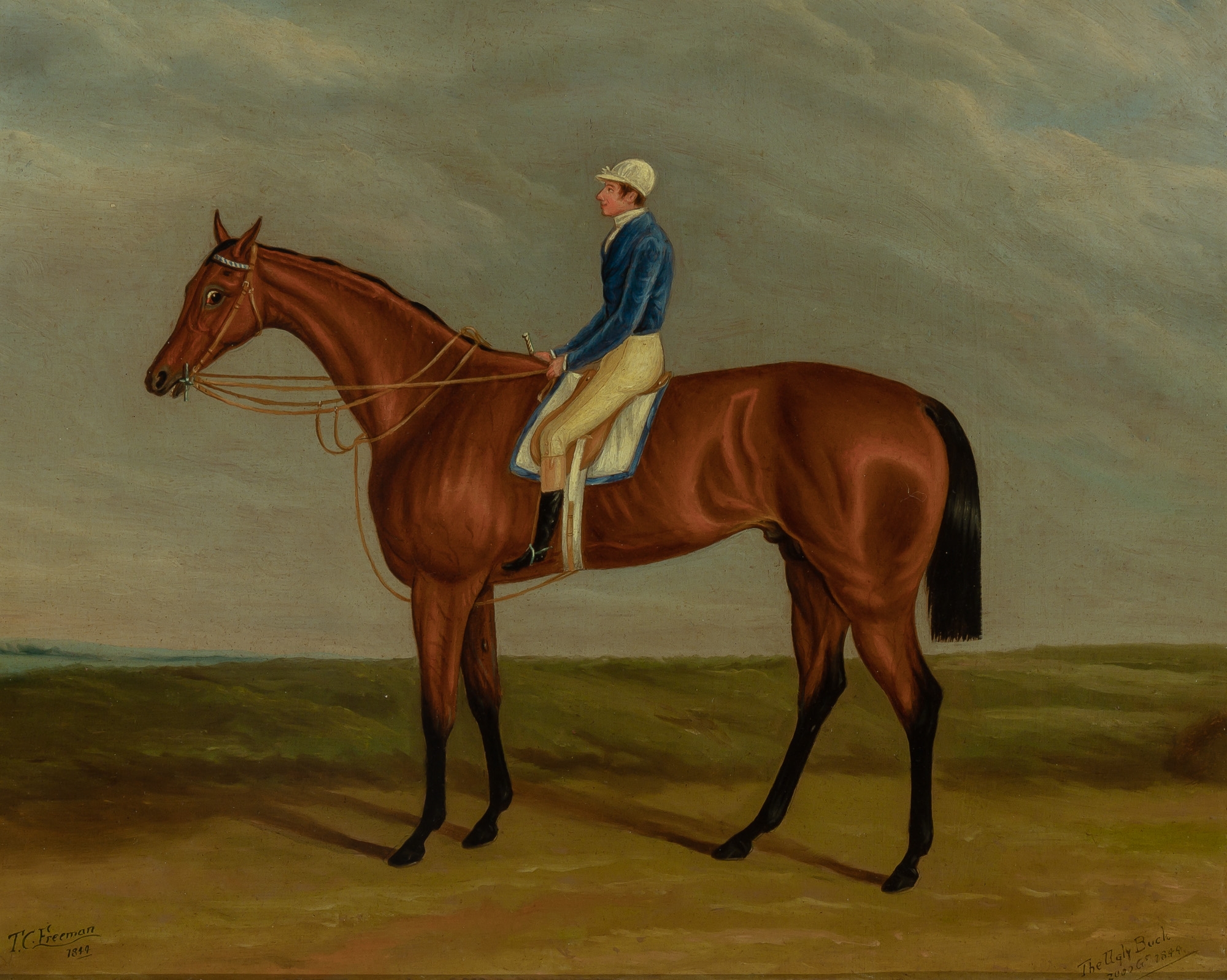 T. C. Freeman | The Ugly Buck (1844) | MutualArt