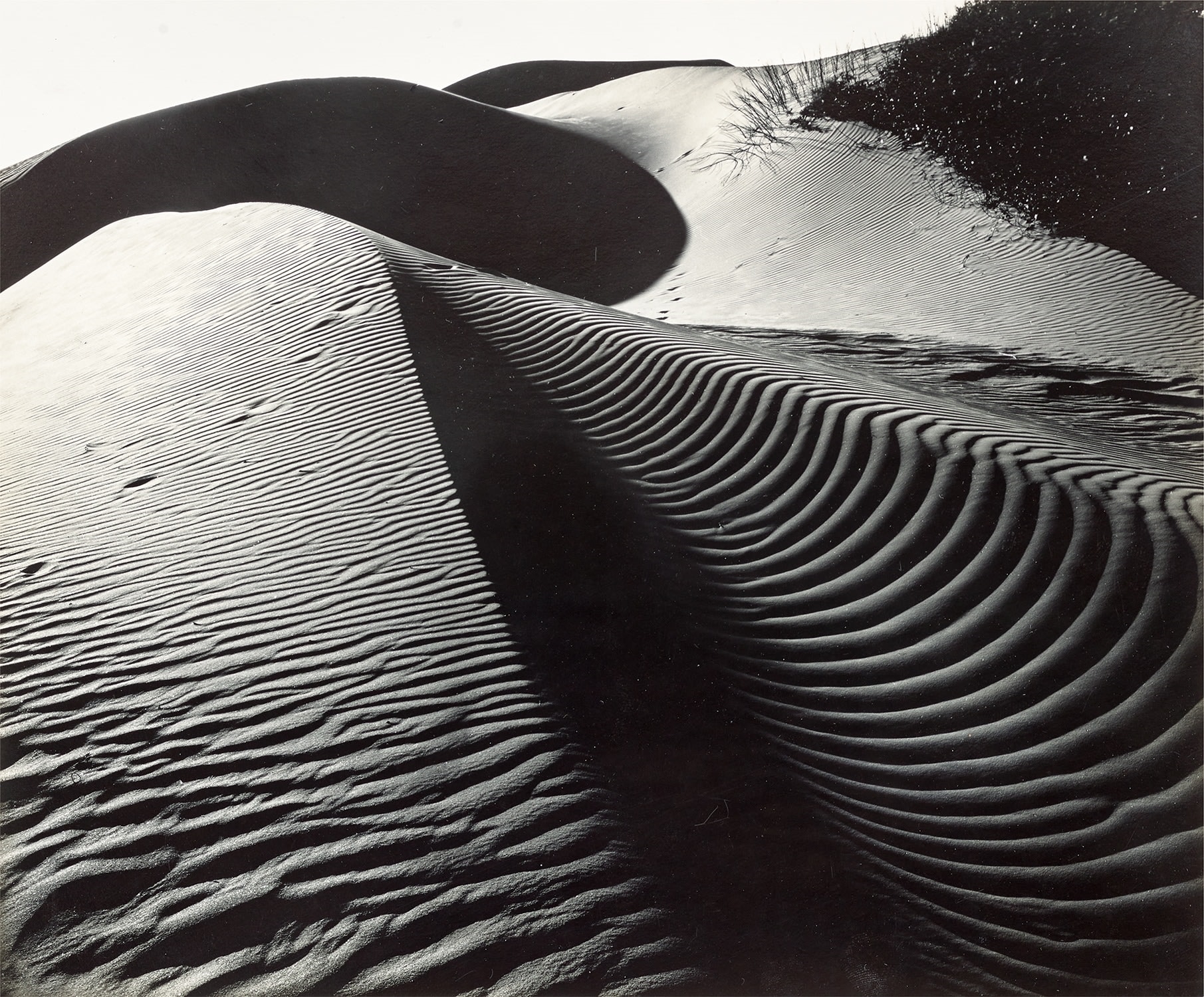Brett Weston | Dunes (1934) | MutualArt