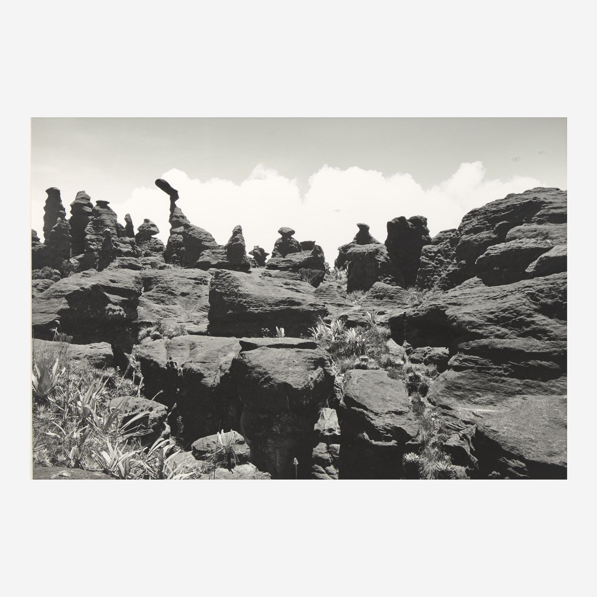 Lothar Baumgarten | Kukenán-tepui, La Gran Sabana | MutualArt