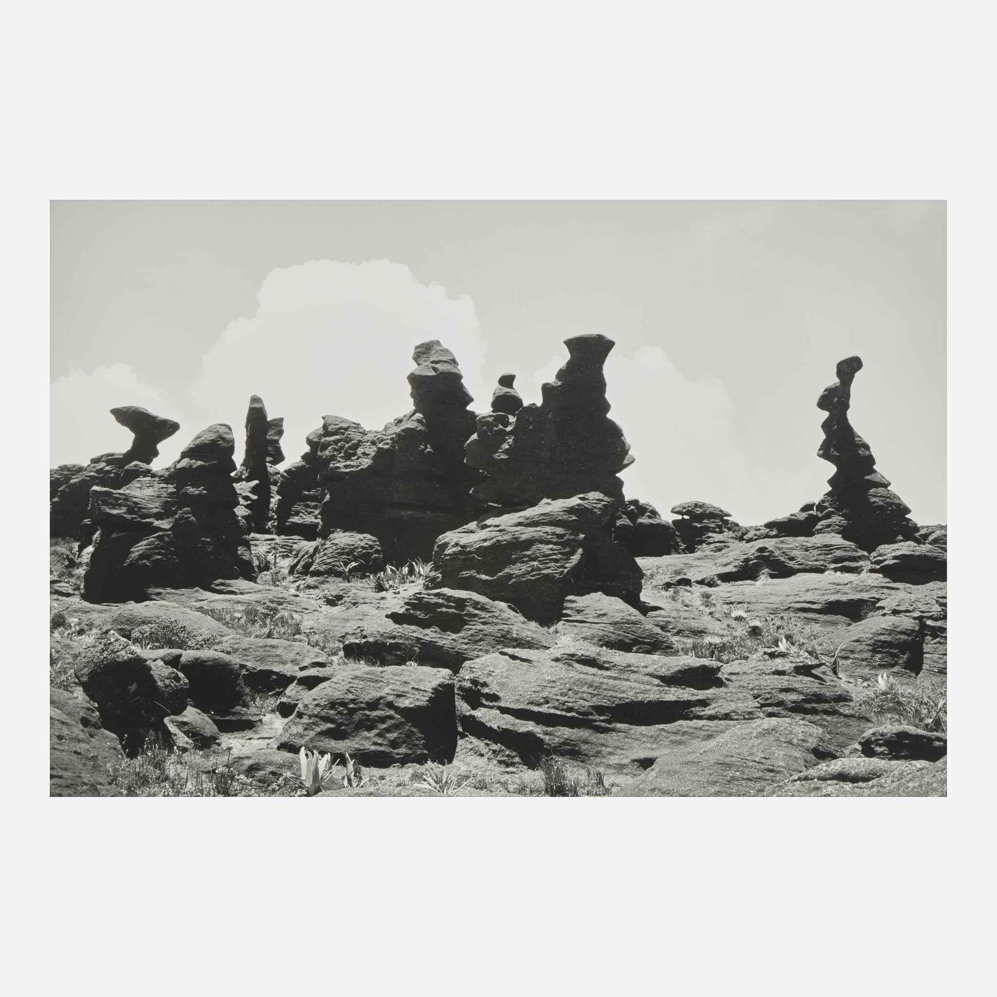 Lothar Baumgarten | Kukenán-tepui, La Gran Sabana | MutualArt