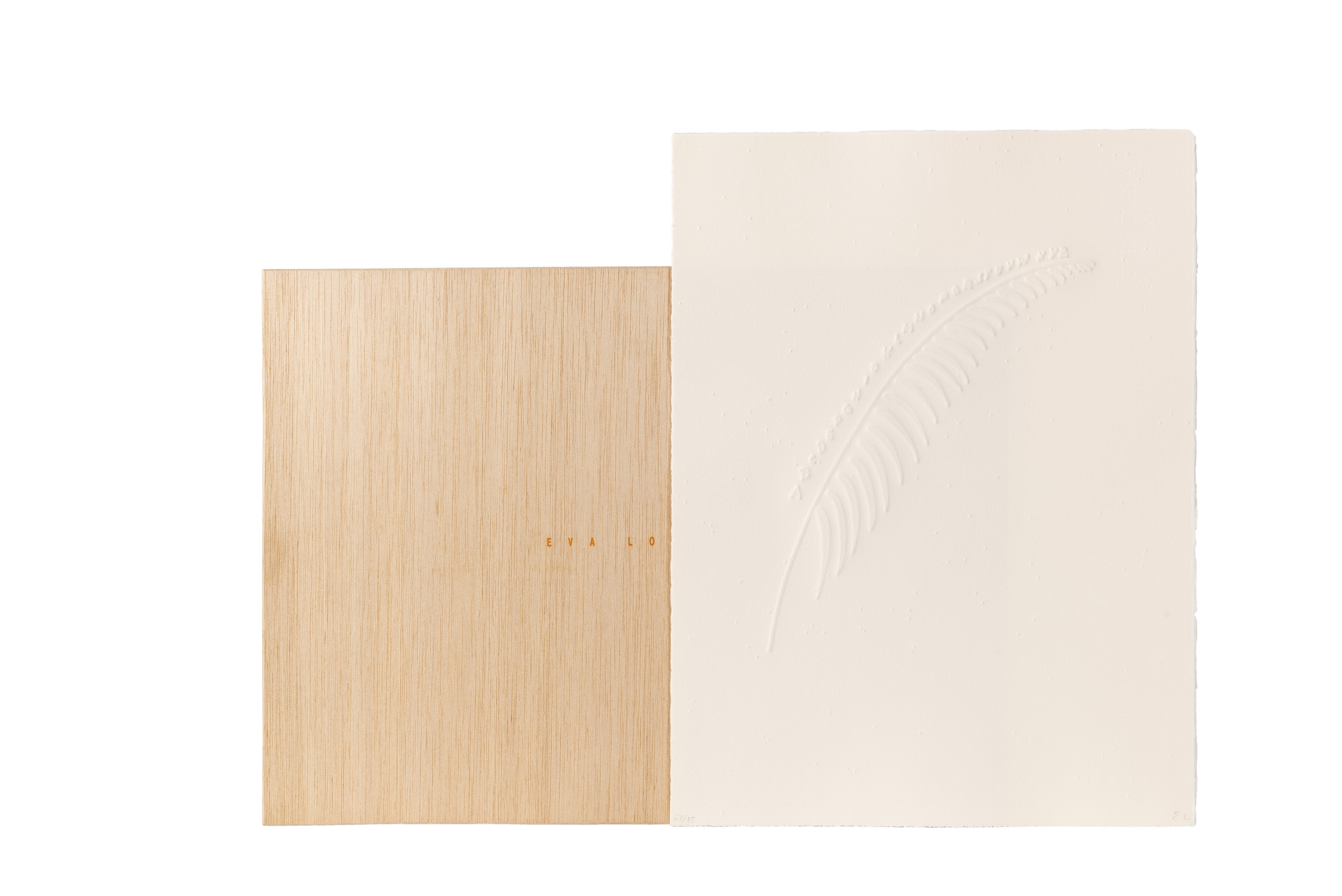 Eva Lootz | Hojas parlantes | MutualArt