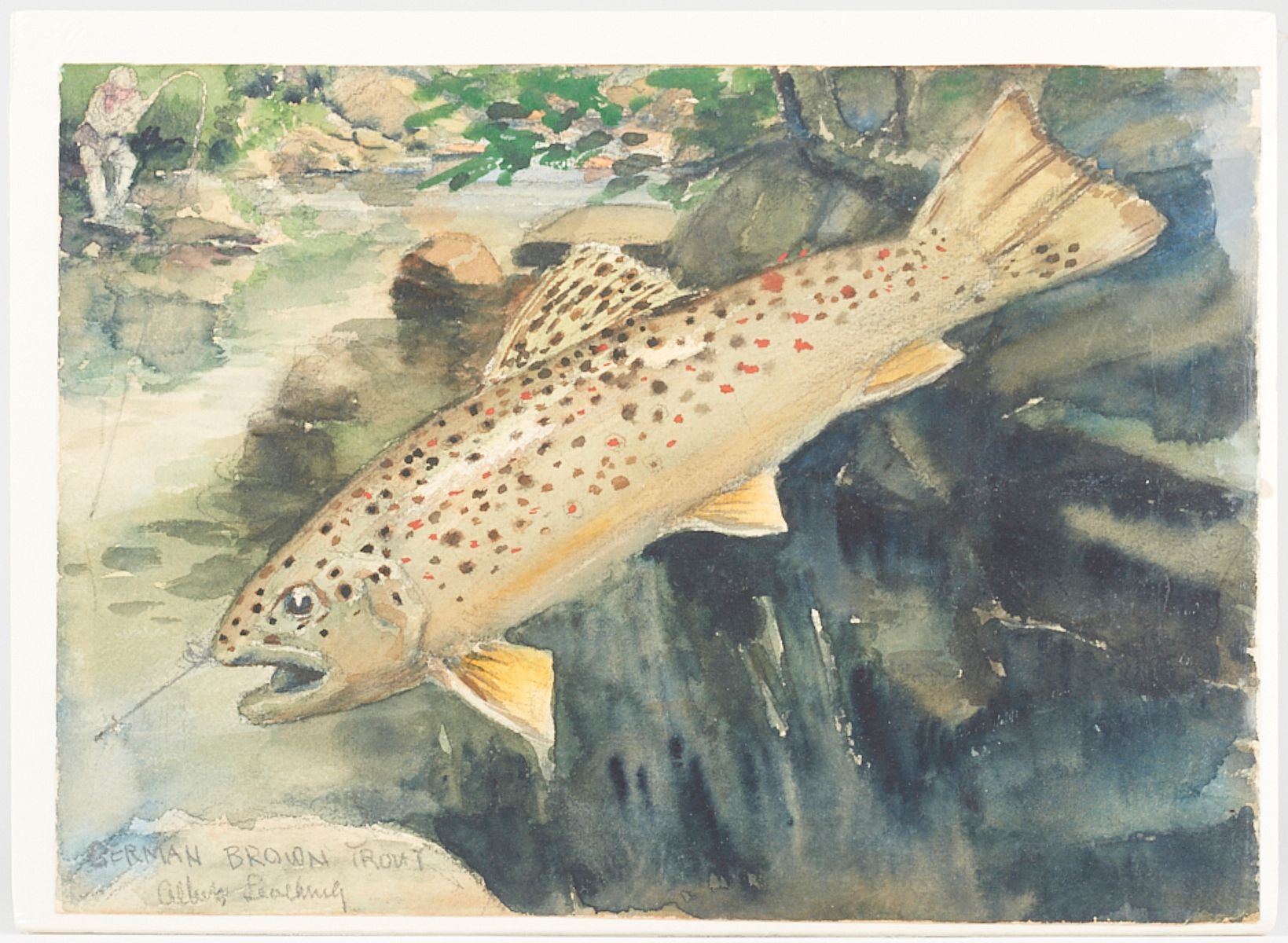 Albert Levering | Various fish in their underwater landscapes including ...