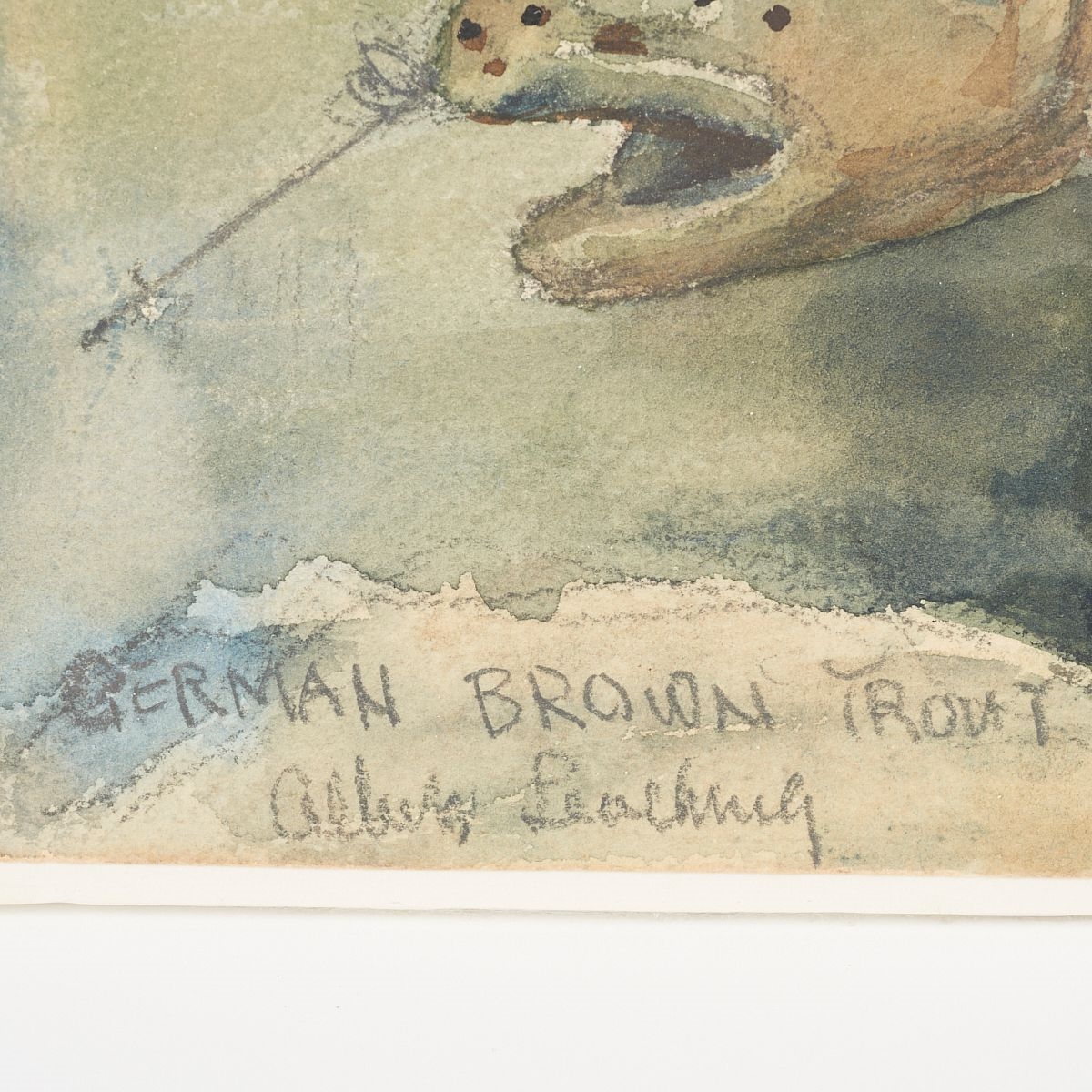 Albert Levering | Various fish in their underwater landscapes including ...