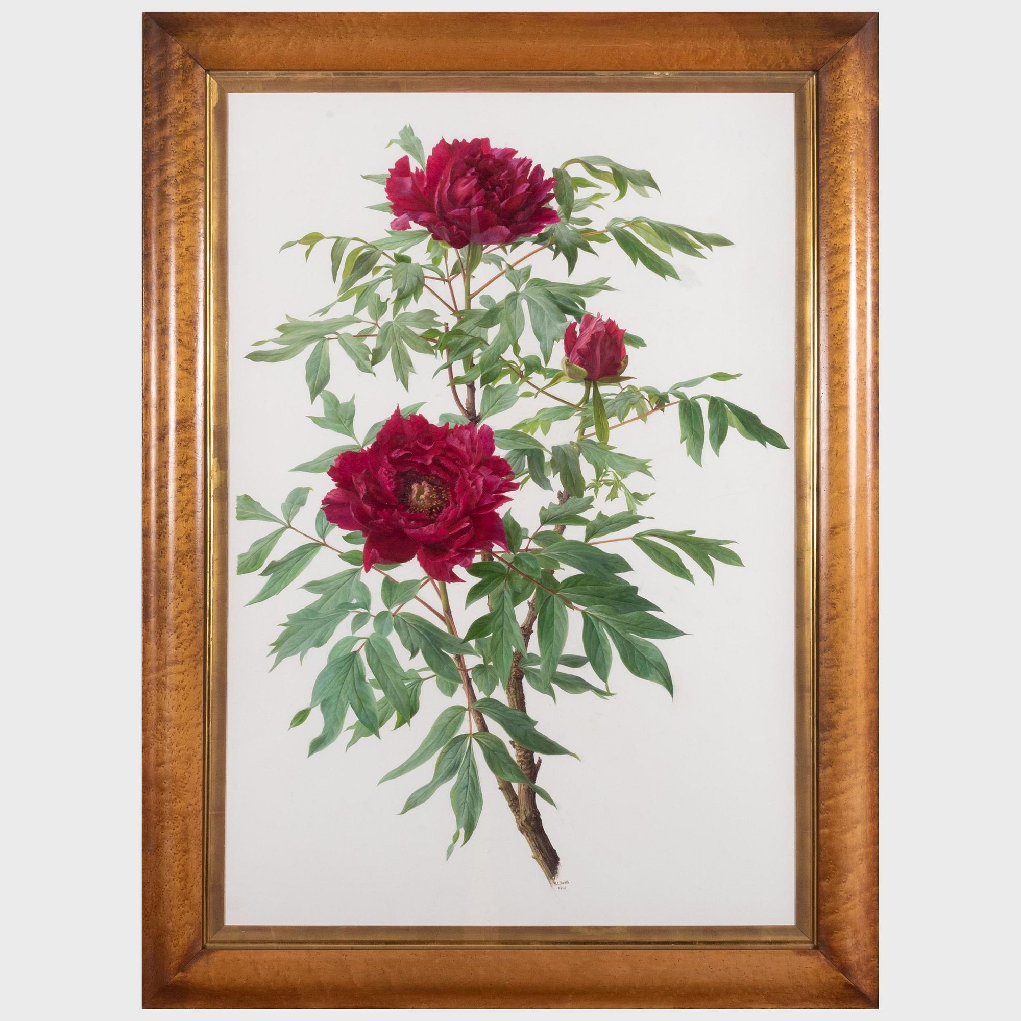 Raymond Booth | Japanese Tree Peony (1997) | MutualArt