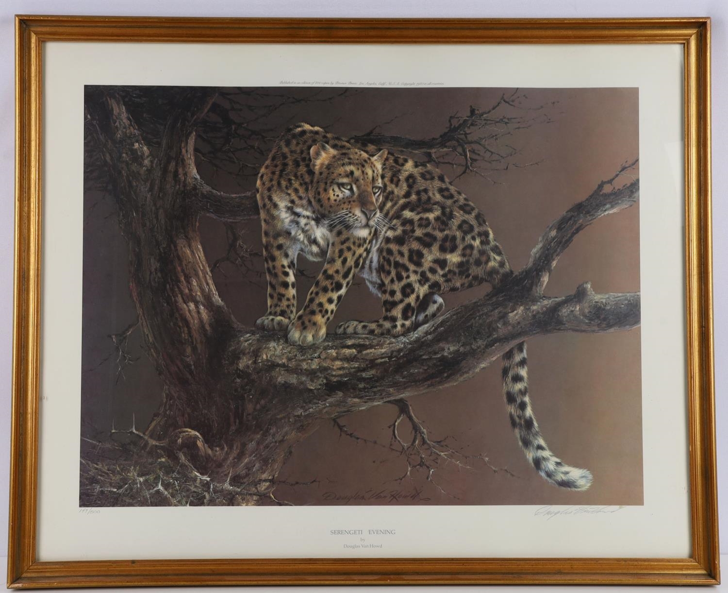Douglas Van Howd | CHEETAH | MutualArt