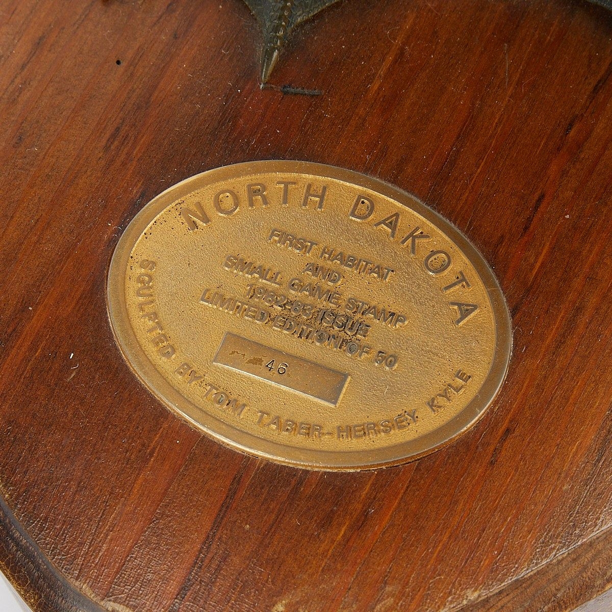 Tom Taber | Canadian goose (1982 - 1983) | MutualArt