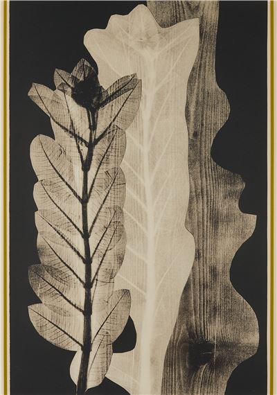 Eugene Larkin | Transformations (1978) | MutualArt