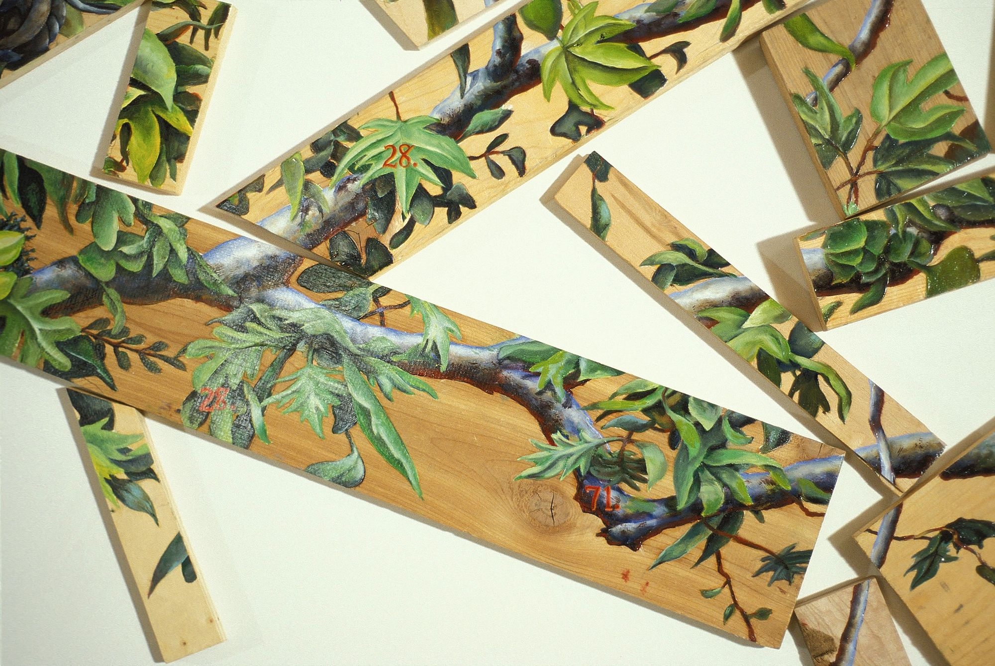 David Lefkowitz | Silviculture II (2003) | MutualArt