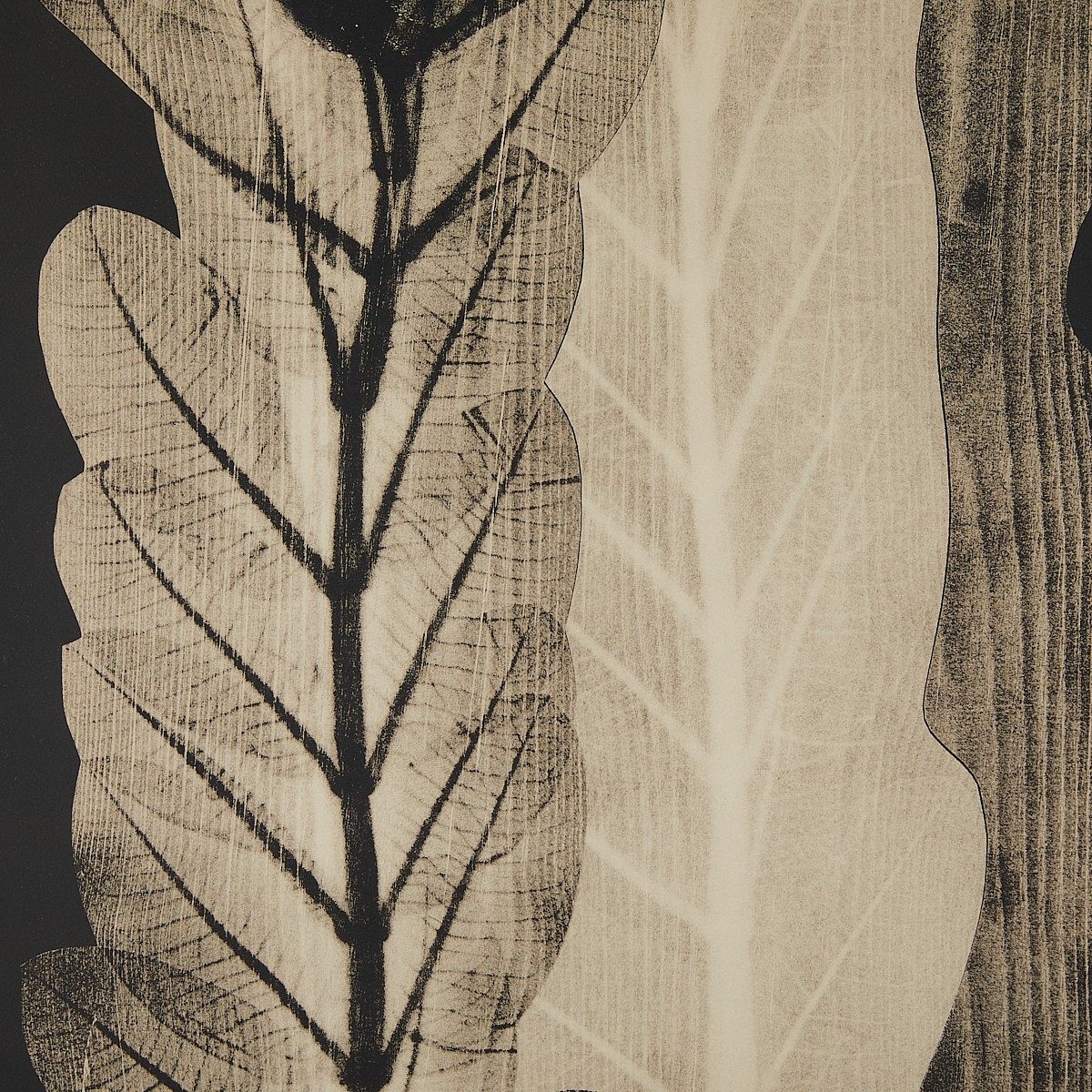 Eugene Larkin | Transformations (1978) | MutualArt
