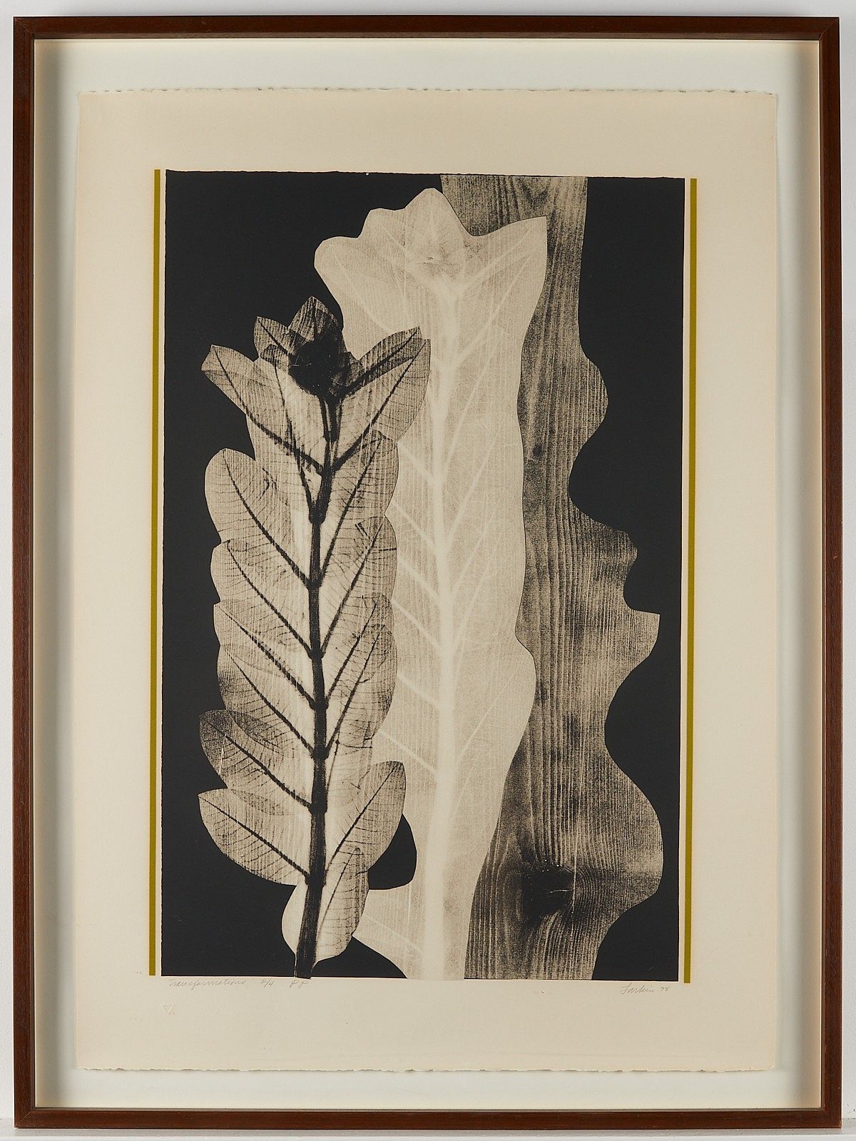 Eugene Larkin | Transformations (1978) | MutualArt