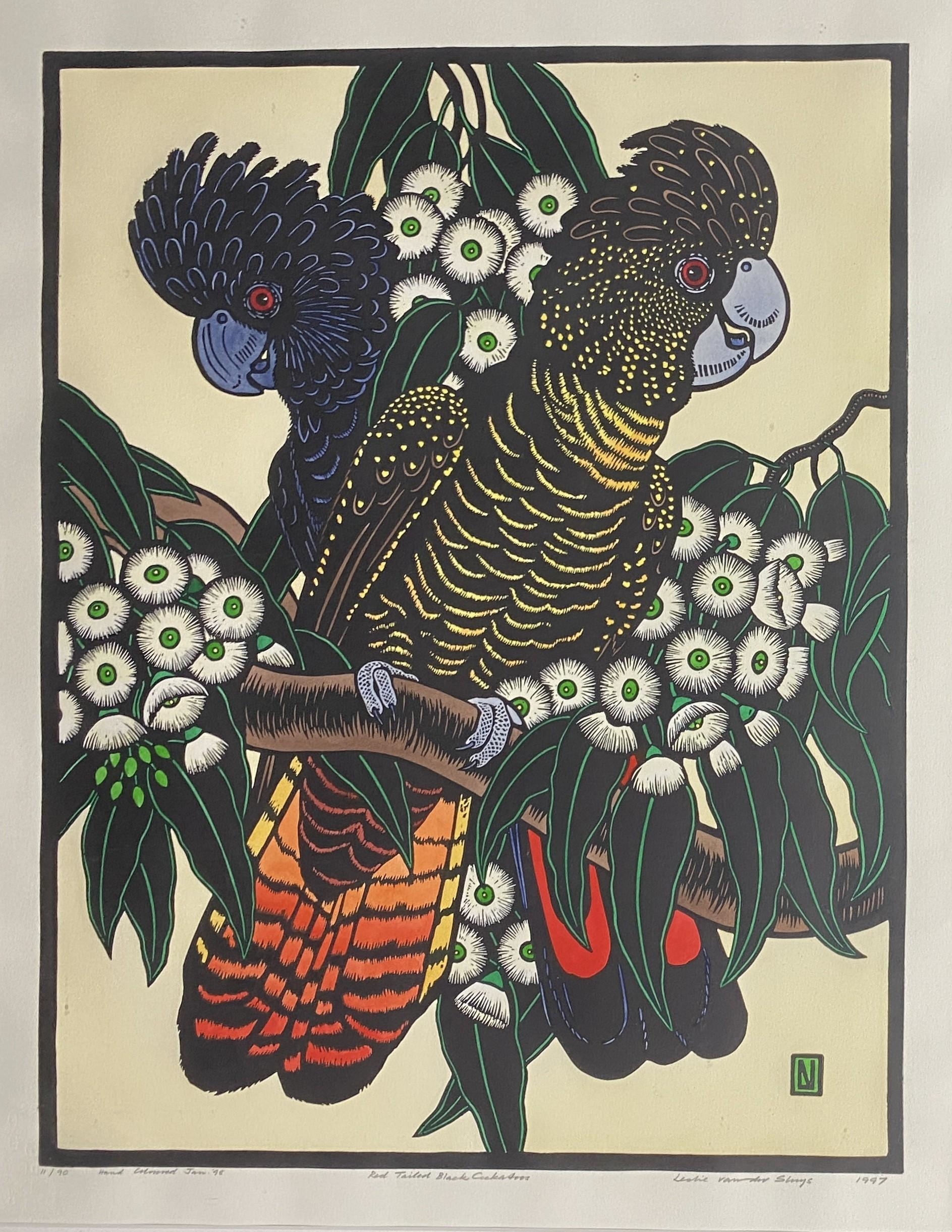 Leslie Sluys | Red Tailed Black Cockatoo 1997 (1997) | MutualArt