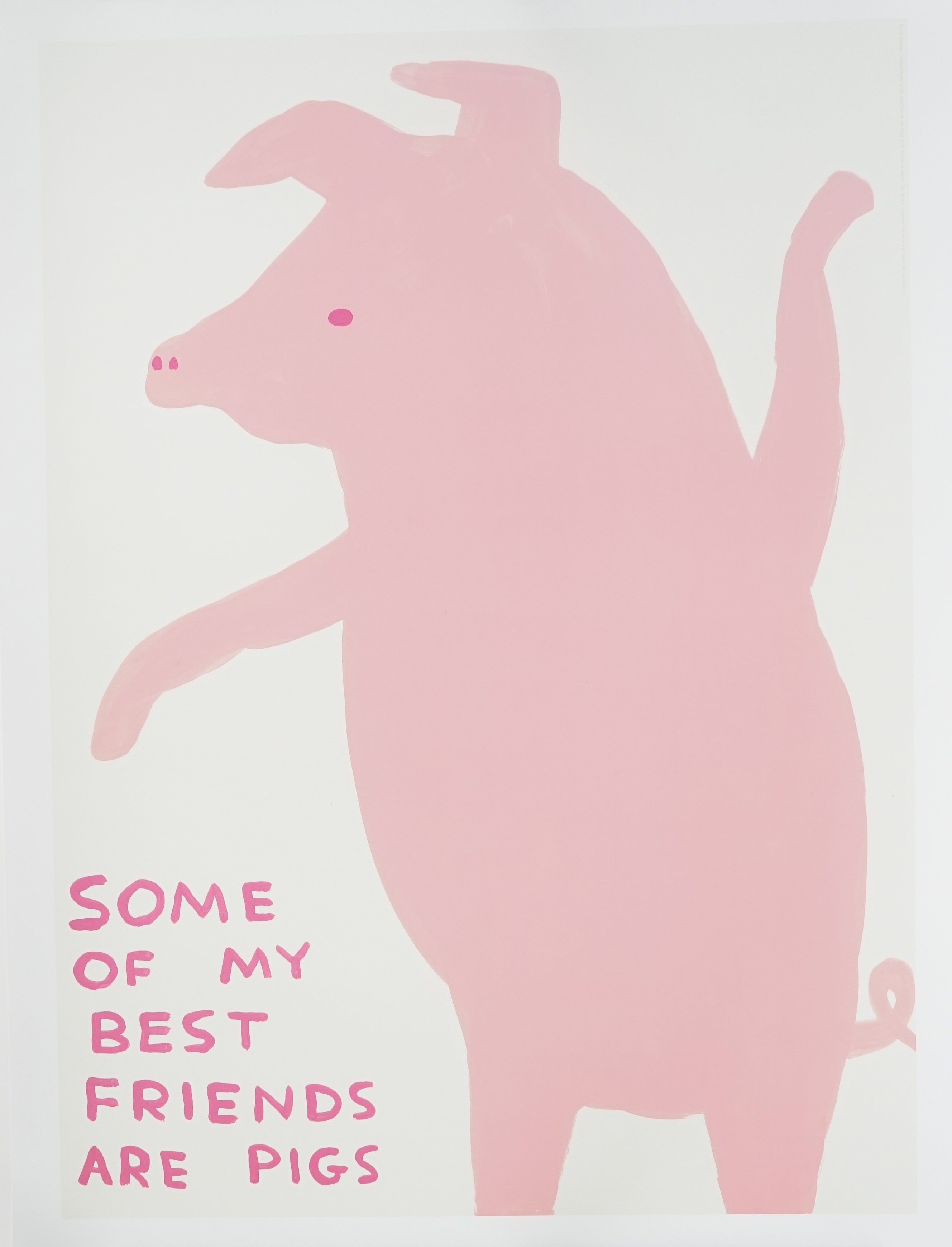 David Shrigley | Animal Series (2020) | MutualArt