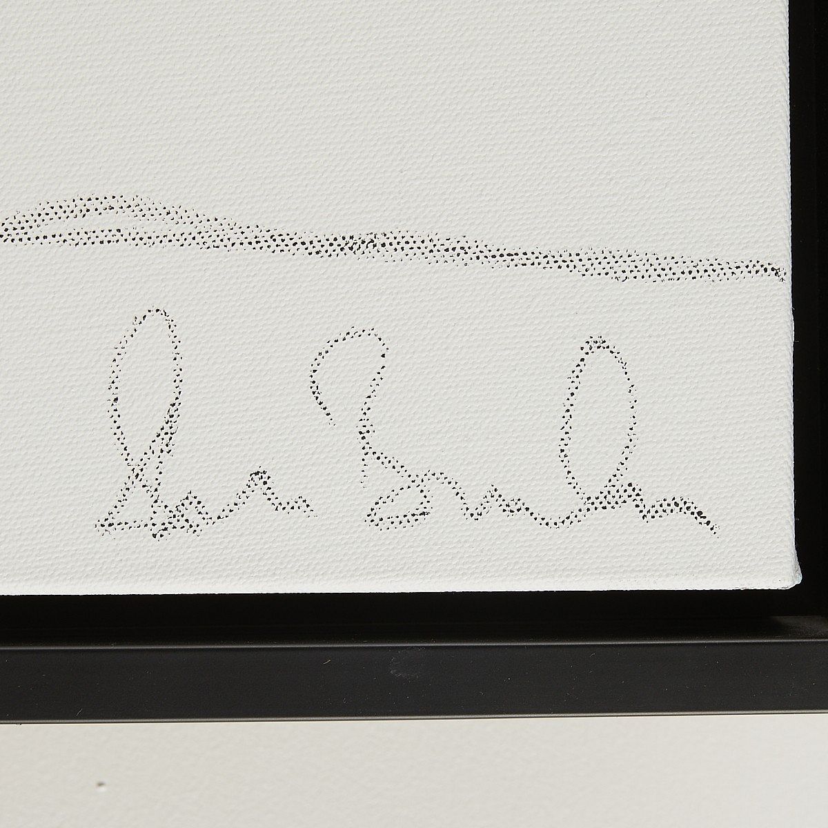 Shane Bowden | purple and pink flowers proudly boasting their beauty ...