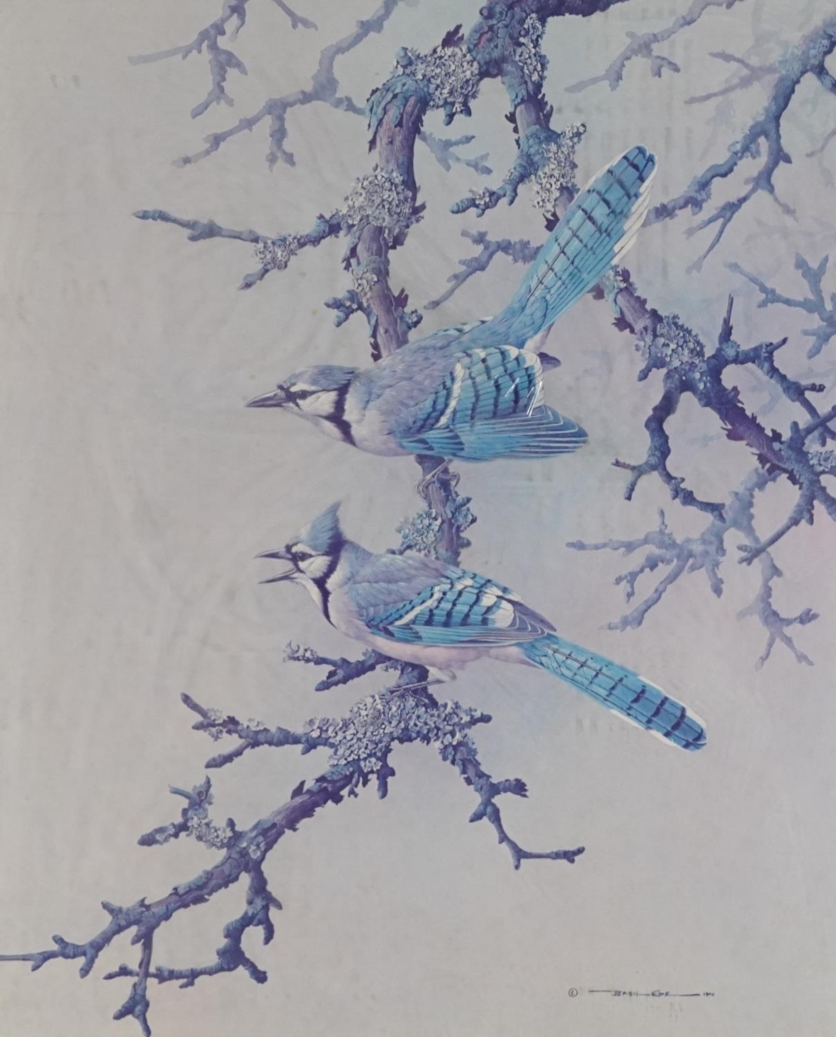 Basil Ede | Birds on branches | MutualArt