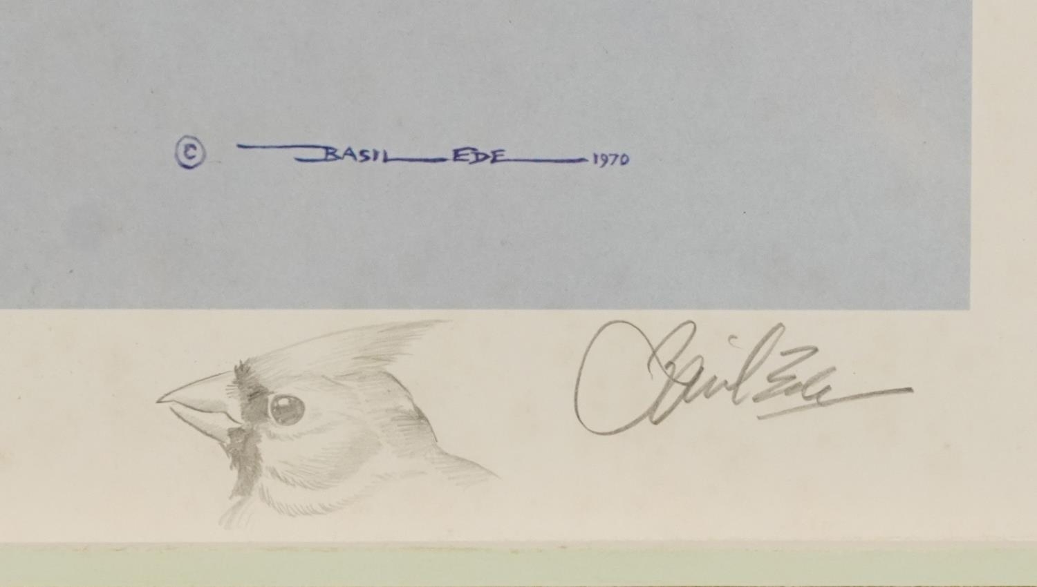 Basil Ede | Birds on branches | MutualArt