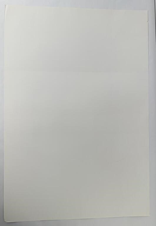 Carole Bourdo | Carole Bourdo Signed Print | MutualArt