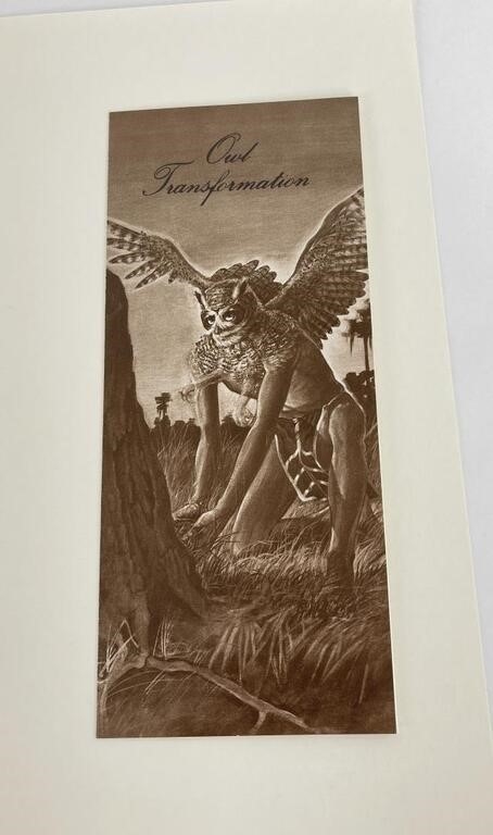 Enoch Kelly‏ Haney | Enoch Kelly Haney Owl Transformation Print | MutualArt